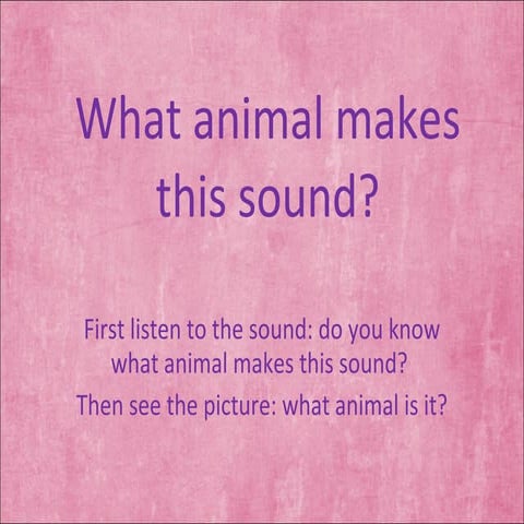 Animals And Sounds Slides Ppt 97 | PPS