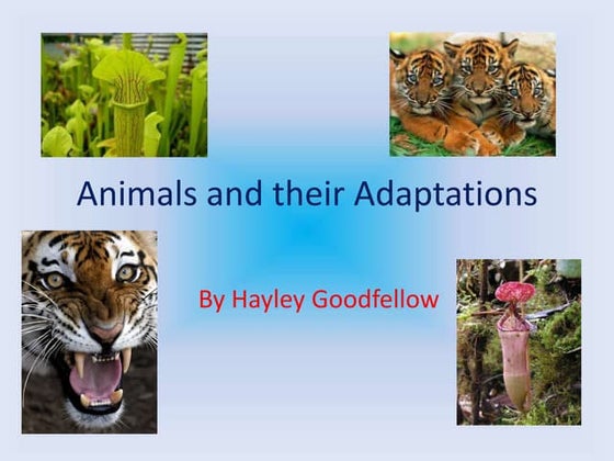 Adaptations | PPT