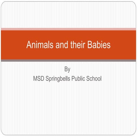 Pictorial Description of Animals and their Babies.pptx
