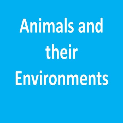 Animals And Their Environments | PPTX