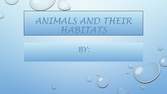 Animals & their habitat | PPTX | Birds | Pets