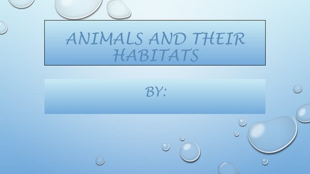 Animals & their habitat | PPTX