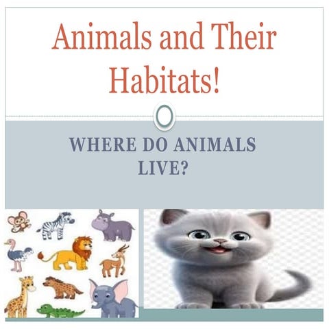 Animals and Their Habitats! edited.pptx slide | PPTX