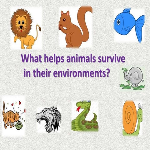 Animals and their parts wiki | PPTX