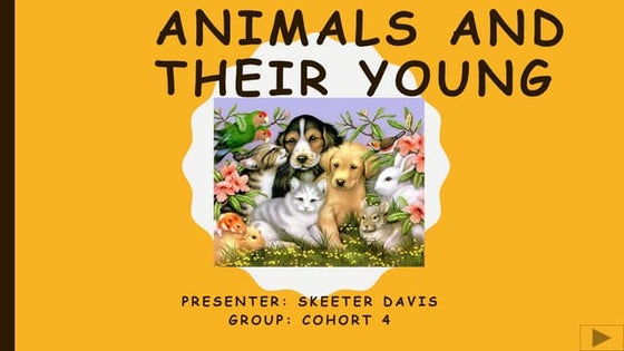 Useful and harmful Animals.pptx