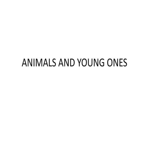 Animals and young ones | PPTX
