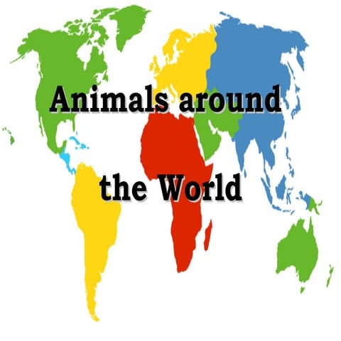 Animals around the World | PPT