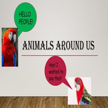 Animals around us_Animals around us.pptx