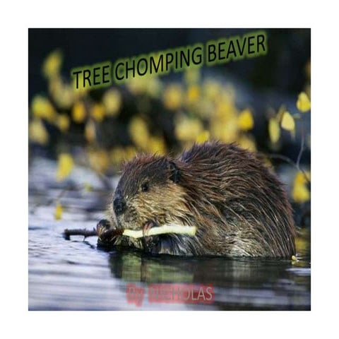 Beaver | PPTX