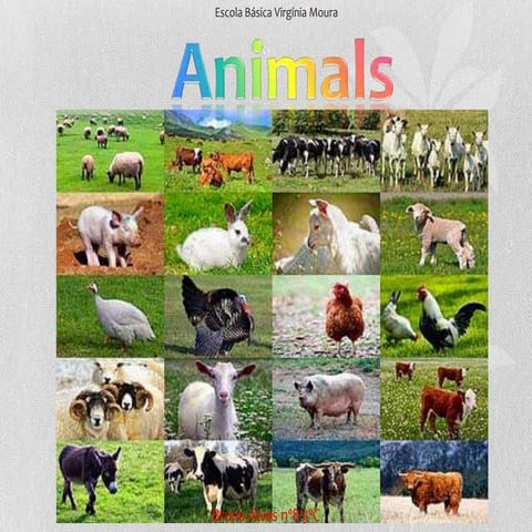 Animals | PPTX