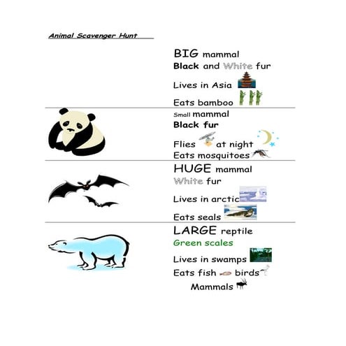 Animal Scavenger Hunt | DOC