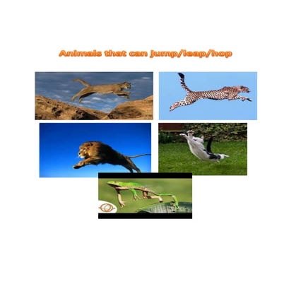 Animals crawl | DOCX