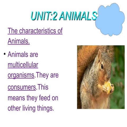 Animals 5th Grade | PPT