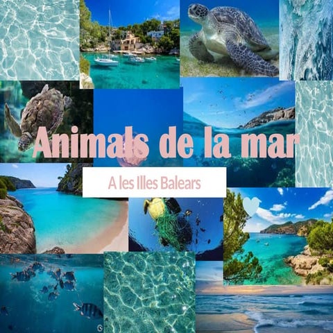 Animals de la mar power pint digitalitzacio.oiwiwidhs | PPTX