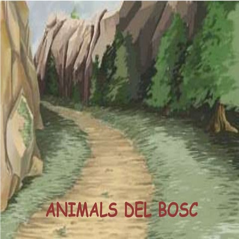 Animals del bosc | PPSX