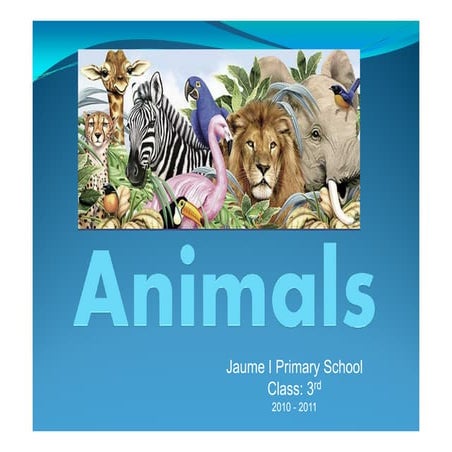 Animals descriptions pp | PDF