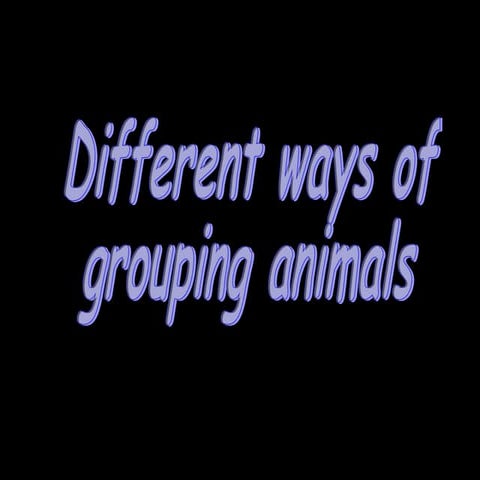 Unit 1.3: Animal | PPT