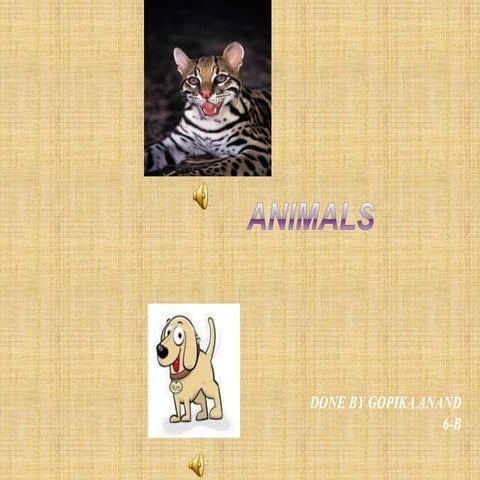 Animals | PPT