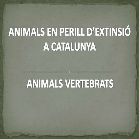 Animals en perill d’extinció a Catalunya 5èB | PPTX