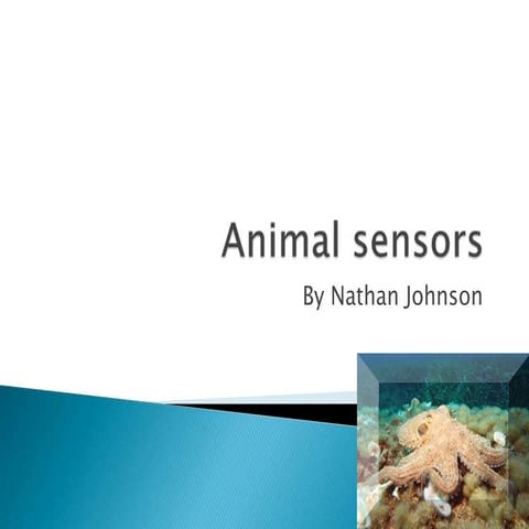 Animal sensors | PPTX