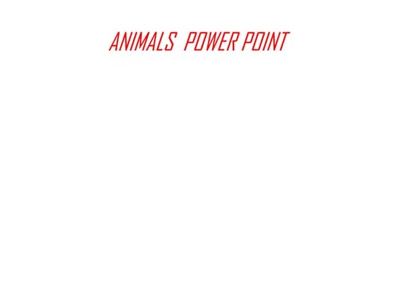 Animals flashcards | PPTX