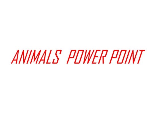 Animals flashcards | PPT