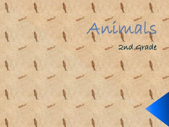 Animals II | PPT