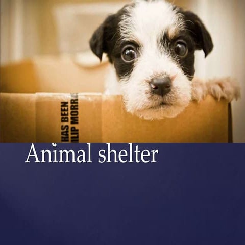 Animal shelter | PPTX