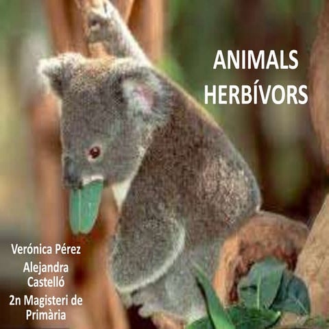 Animals hervivors | PPTX