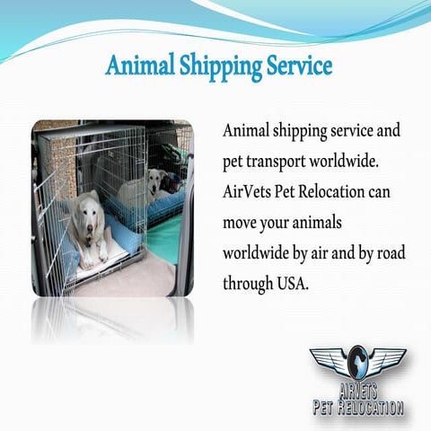 Animal shipping service | PDF