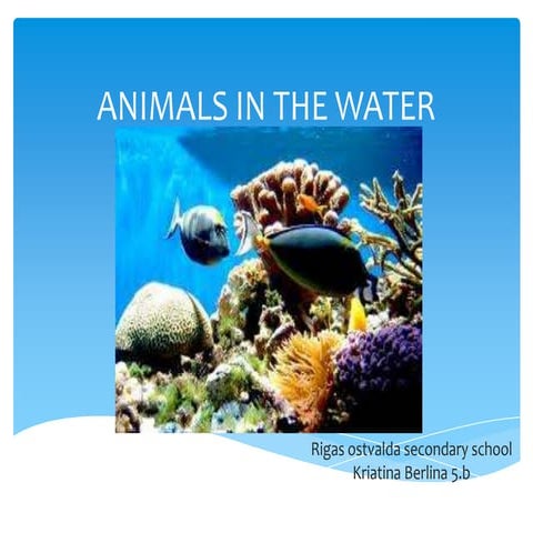 Animals in The Water | PPT