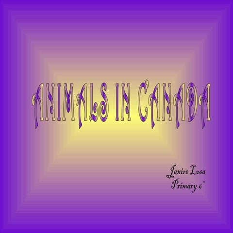 Animals in canada | PPT
