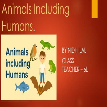 Animals Including Humans.pptx based on e | PPTX