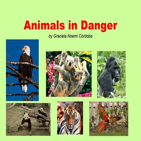 Animals In Danger | PPT