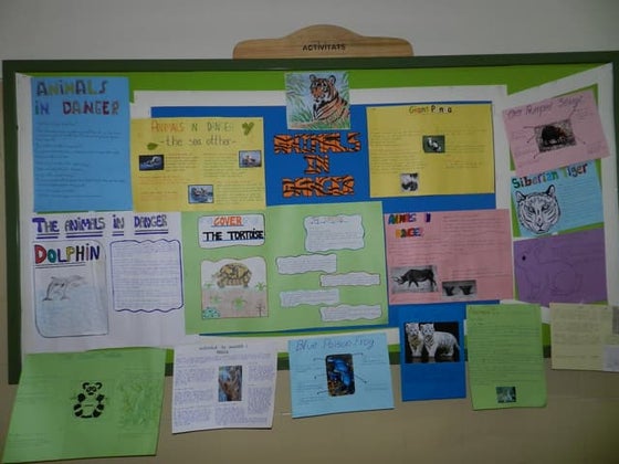 Wall e esquema web | PDF