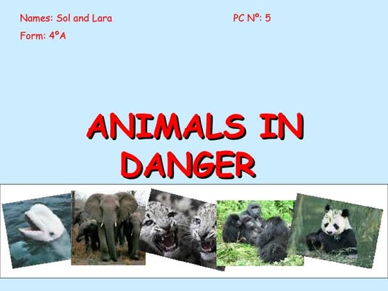 Animals in Danger | PPTX