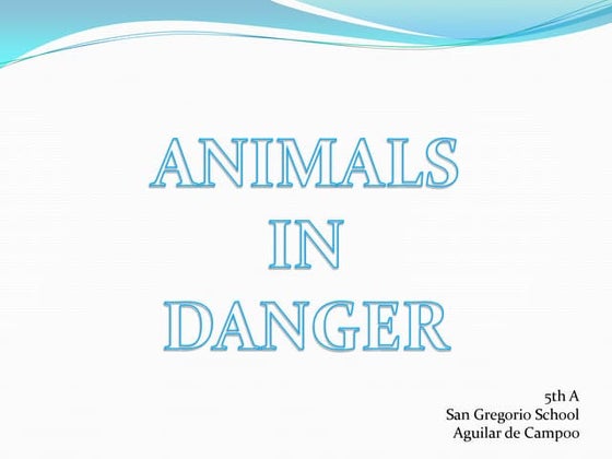 Pp presentation animals | PPT