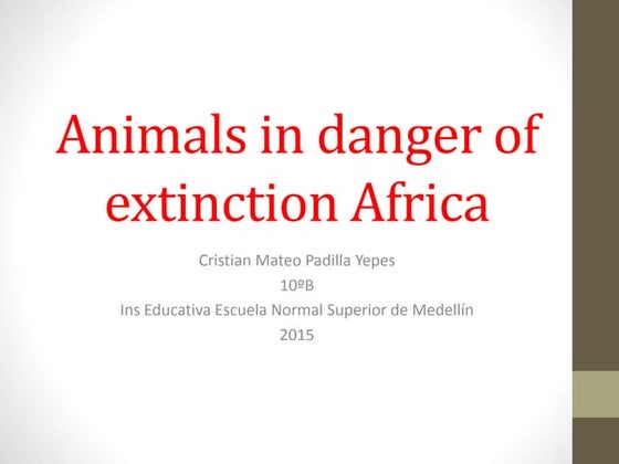Endangered Animals | PPT