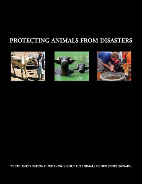 Presentation on animals in disaster | PPT