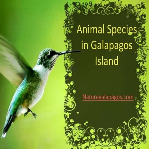 Animals in galapagos island | PPTX