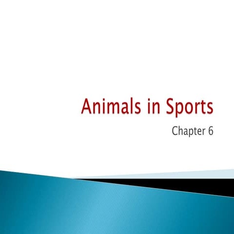Animals in Sports | PPTX