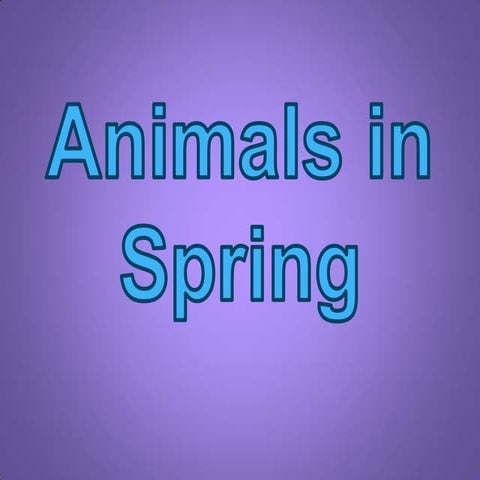 Animals in spring | PPT