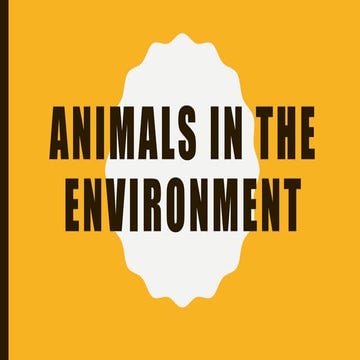 Animals in the environment | PPTX