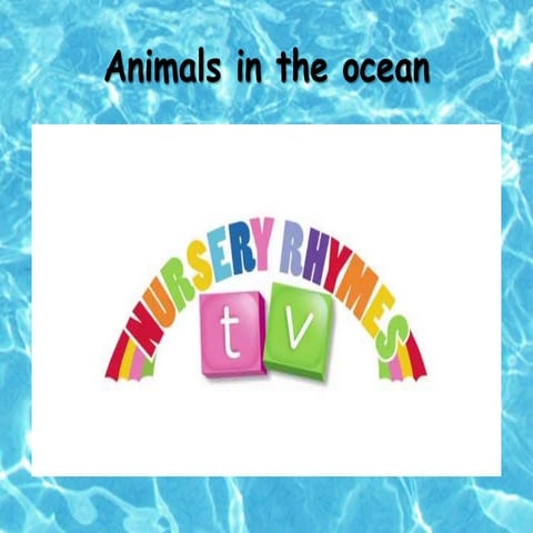 Animals in the sea | PPT