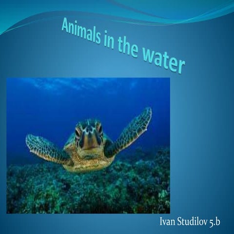 Animals in The Water | PPTX