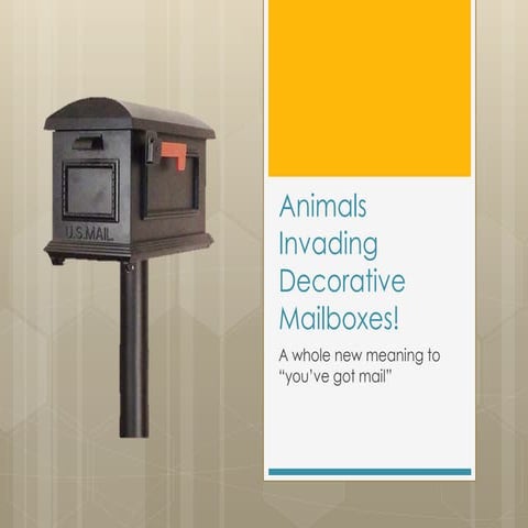 Animals Love Decorated Mailboxes | PPTX