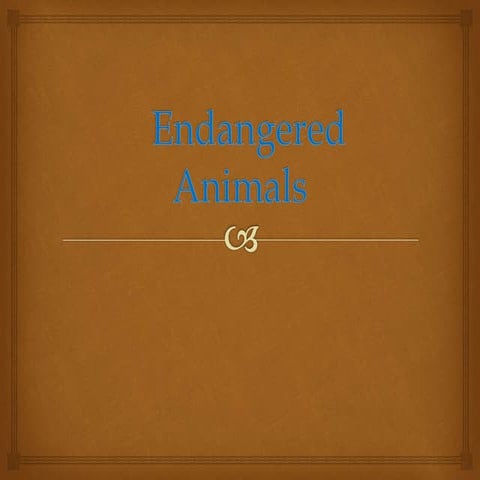 endangered animals. | PPTX