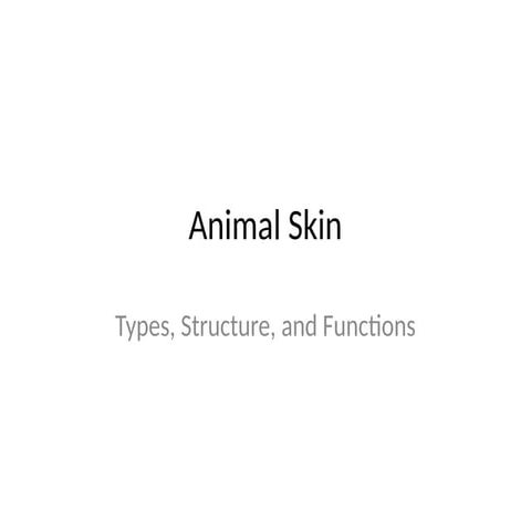 Body Coverings of Animals | PPTX