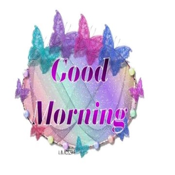 Animal sleep patterns | PPTX