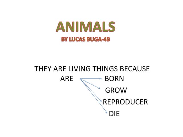 Animals third grade | PPTX